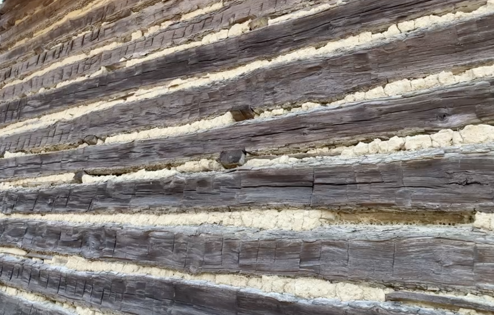Hand-Hewn Beams - Northern South